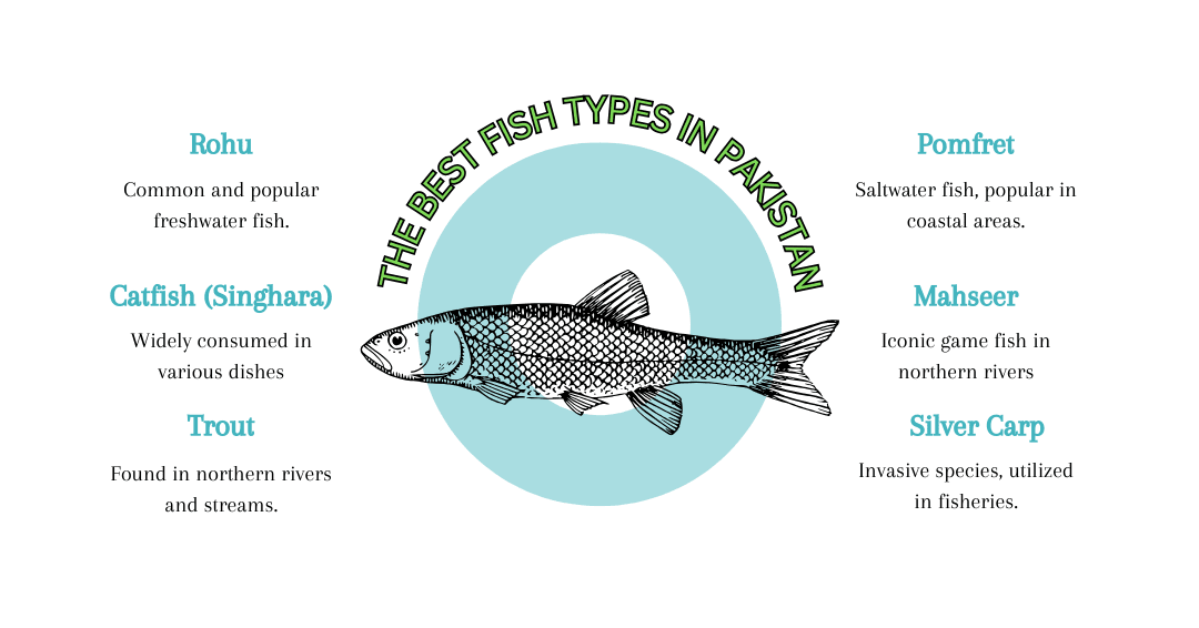 THE BEST FISH TYPES IN PAKISTAN