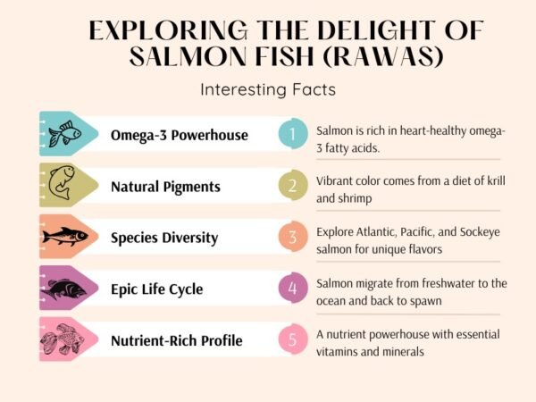 Salmon Fish: Health Benefits, Types, Diet and Life Cycle