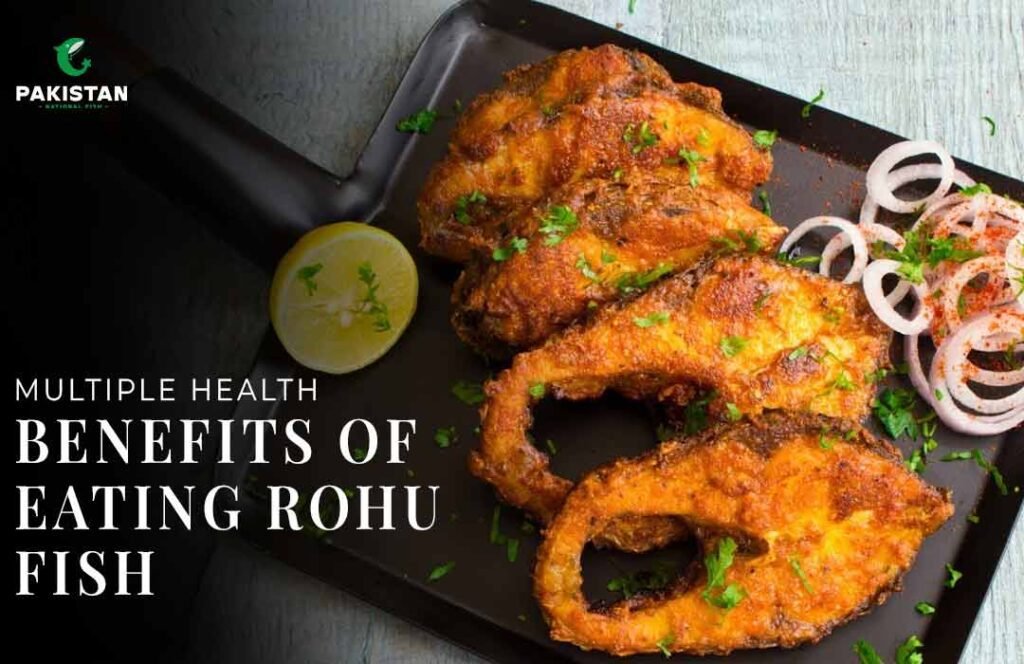 Eating Rohu fish: Multiple health benefits, protects heart attack ...