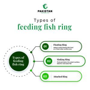 Benefits, Types, and Best Ways of Using Feeding Ring Fish