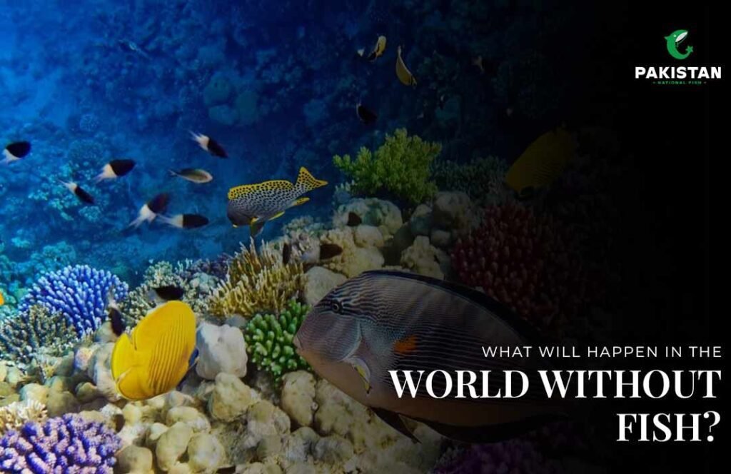 What Will Happen in the World without Fish?