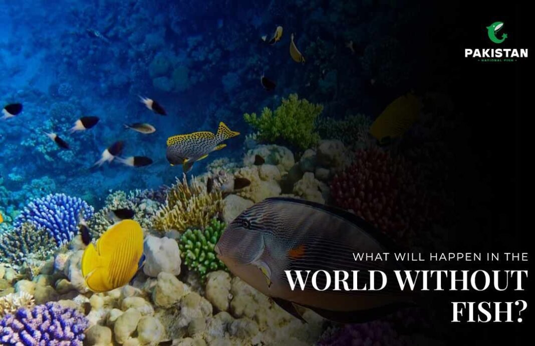 What Will Happen in the World without Fish?