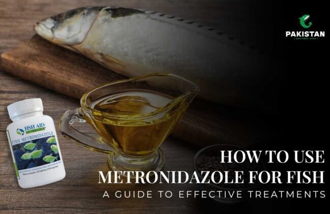 How to use Metronidazole for fish: A guide to effective treatment
