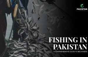Fishing in Pakistan: Fishery and Aquaculture Country