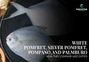 White Pomfret, Pompano & More: How They Compare and Differ