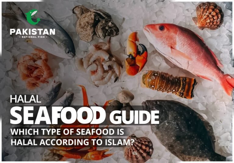 Halal Seafood Kitchen: According to Islam